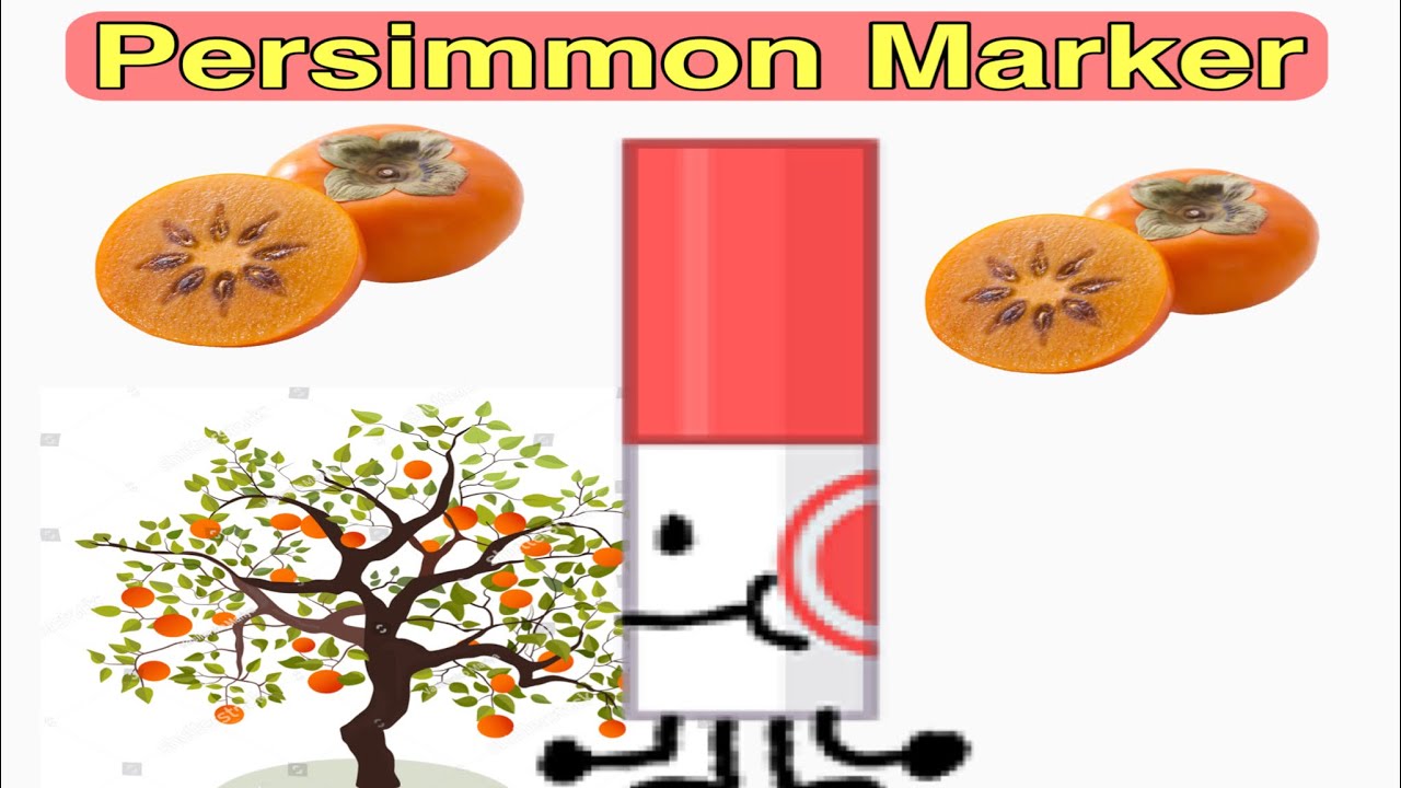 How to find persimmon marker in Find the markers #roblox - YouTube