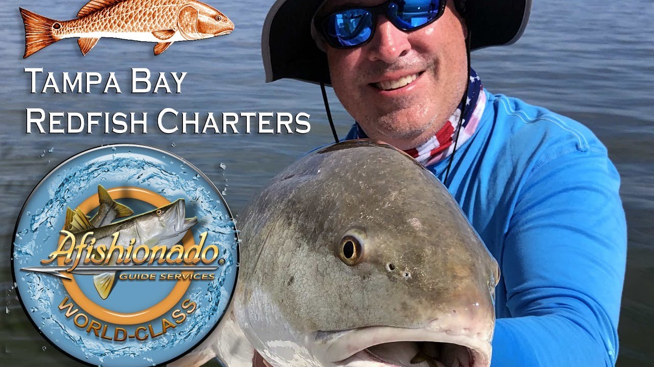 Saltwater Charters Tampa, FL 33611 Call/Text: 813 286-3474 Gandy Boat ...