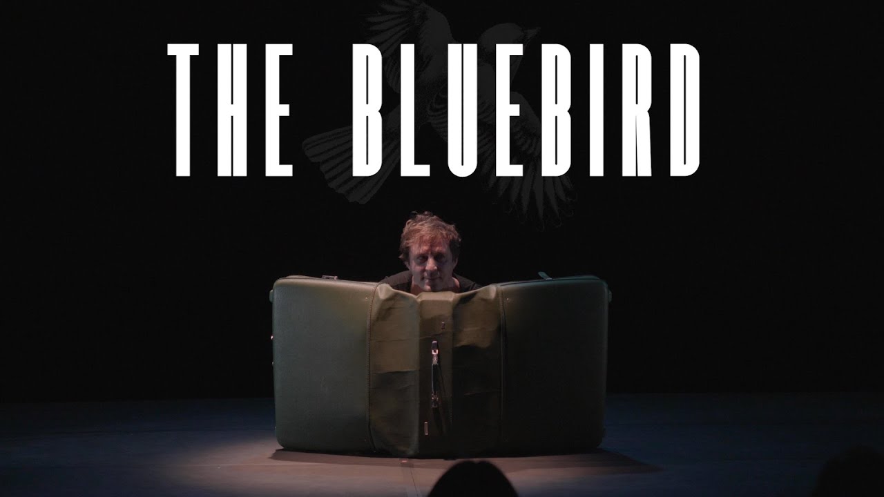 The Bluebird | Official Trailer - YouTube
