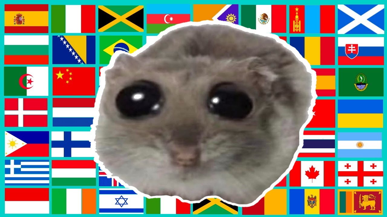 Sad Hamster in different languages Part 5 - YouTube