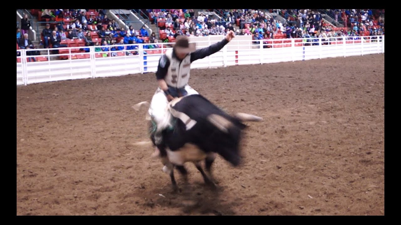 Beau Brooks - Professional Bull Rider at Stampede Corral, Calgary ...