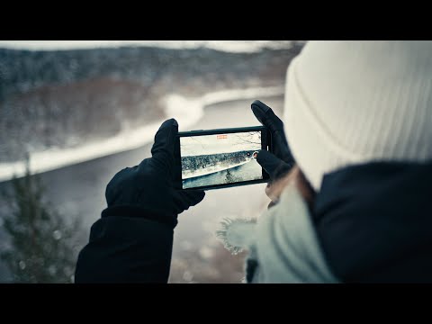 Nikon ZF 10bit Video Samples