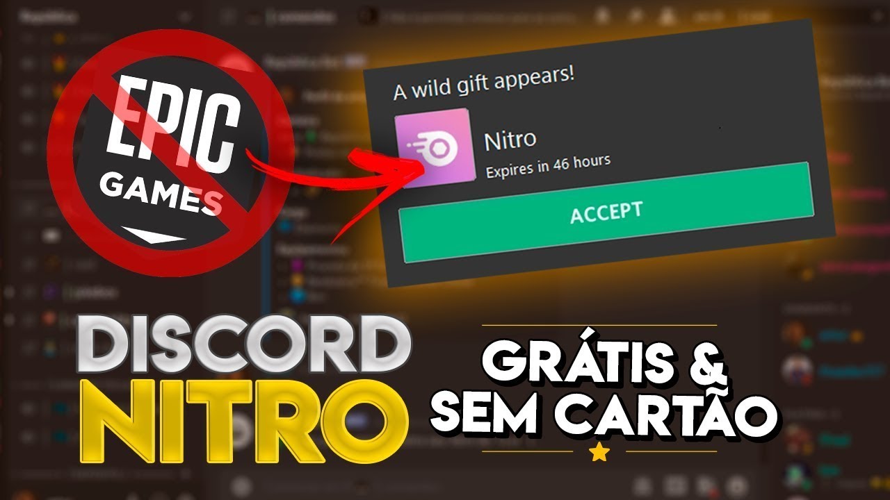 MELHOR LOJA DE NITRO DO DISCORD! 🔥 - YouTube