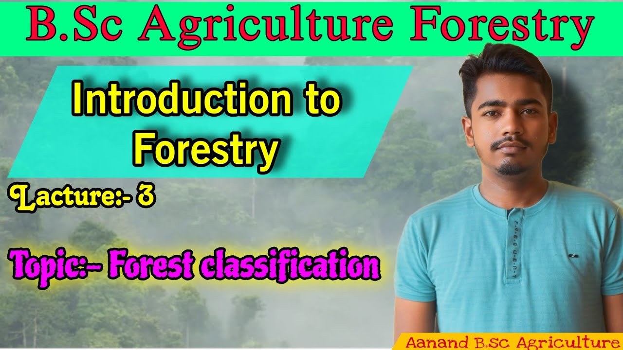 Classification of Forest | Introduction to Forestry | BSc Agriculture ...