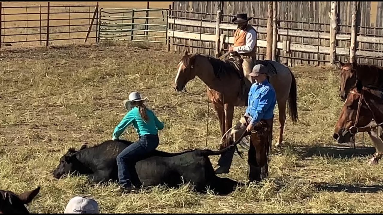 Highlights of Mott’s 2022 Roping - Cool Shots, Near Misses, and Angry ...
