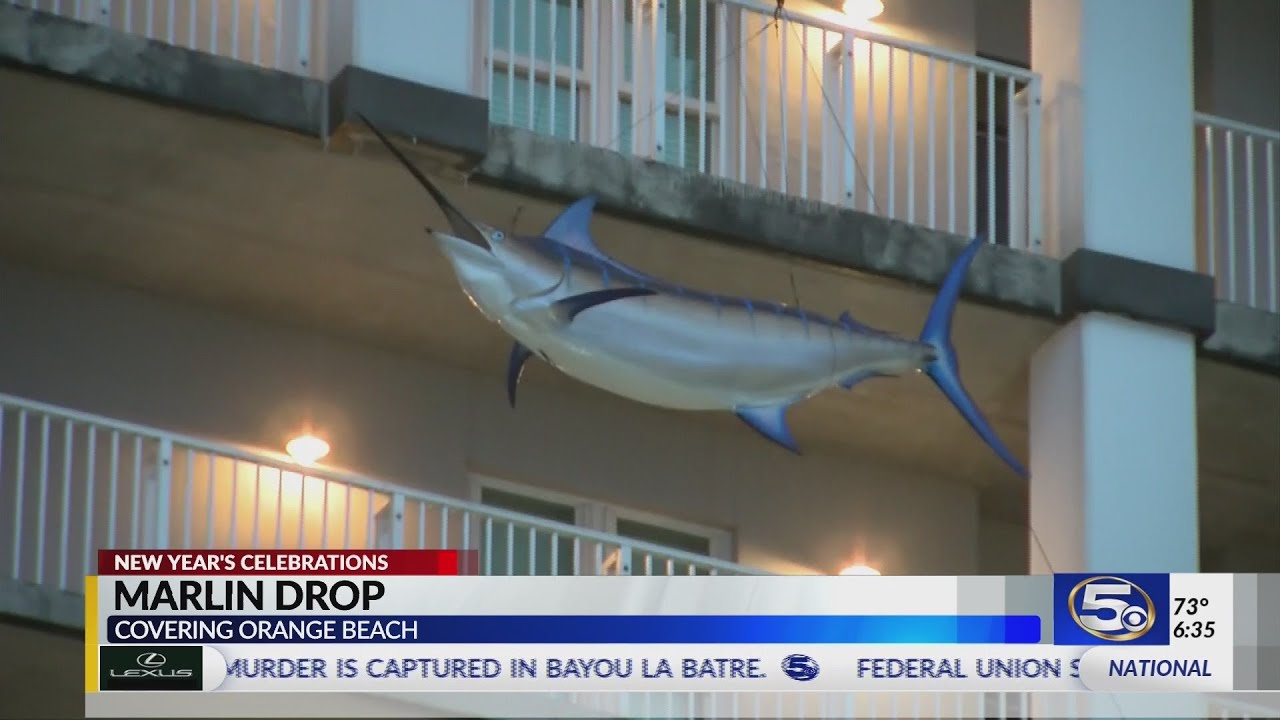 Marlin drop at the Wharf - YouTube