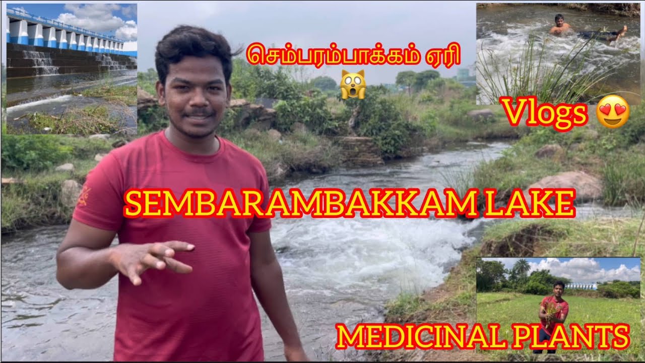 SEMBARAMBAKKAM LAKE / செம்பரம்பாக்கம் ஏரி 😅 VISIT 🙀 MEDICINAL PLANT # ...