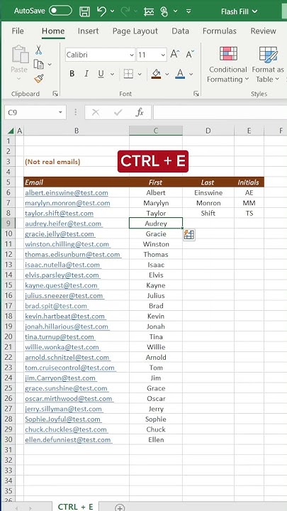 Master Excel's Flash Fill Feature: Quick Data Formatting Made Easy! #exceltech #excelshortcuts ...