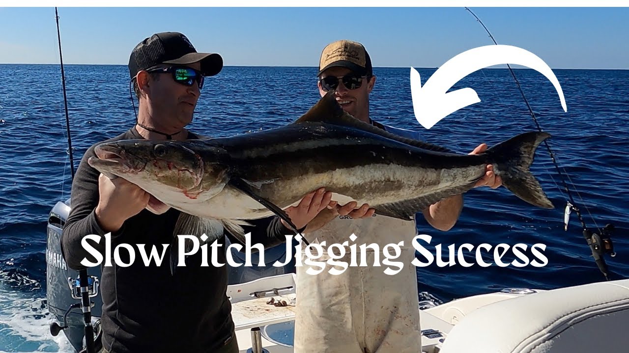 Tripled Up On Cobia - TWICE!!! + Triggerfish, Snapper, Almaco Jacks ...