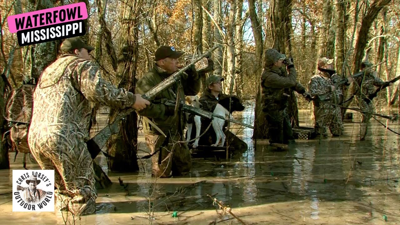 Hunting in the #1 Duck Hole in the Mississippi Delta - YouTube