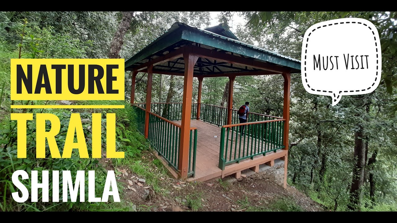 Shimla Nature Trail | Glen Forest | Day Hike - YouTube