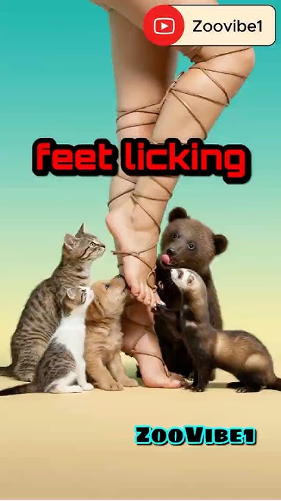 Why Do Pets Lick Your Feet? The Weirdest Reason Will Surprise You! - YouTube