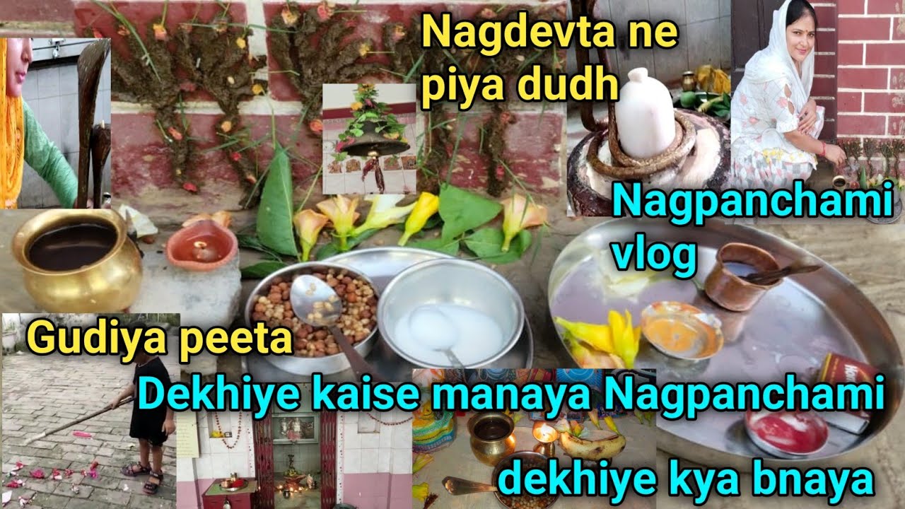 #Nagpanchami special vlog।।Nagdevta ne dudh piya।dekhiye kaise kiya ...