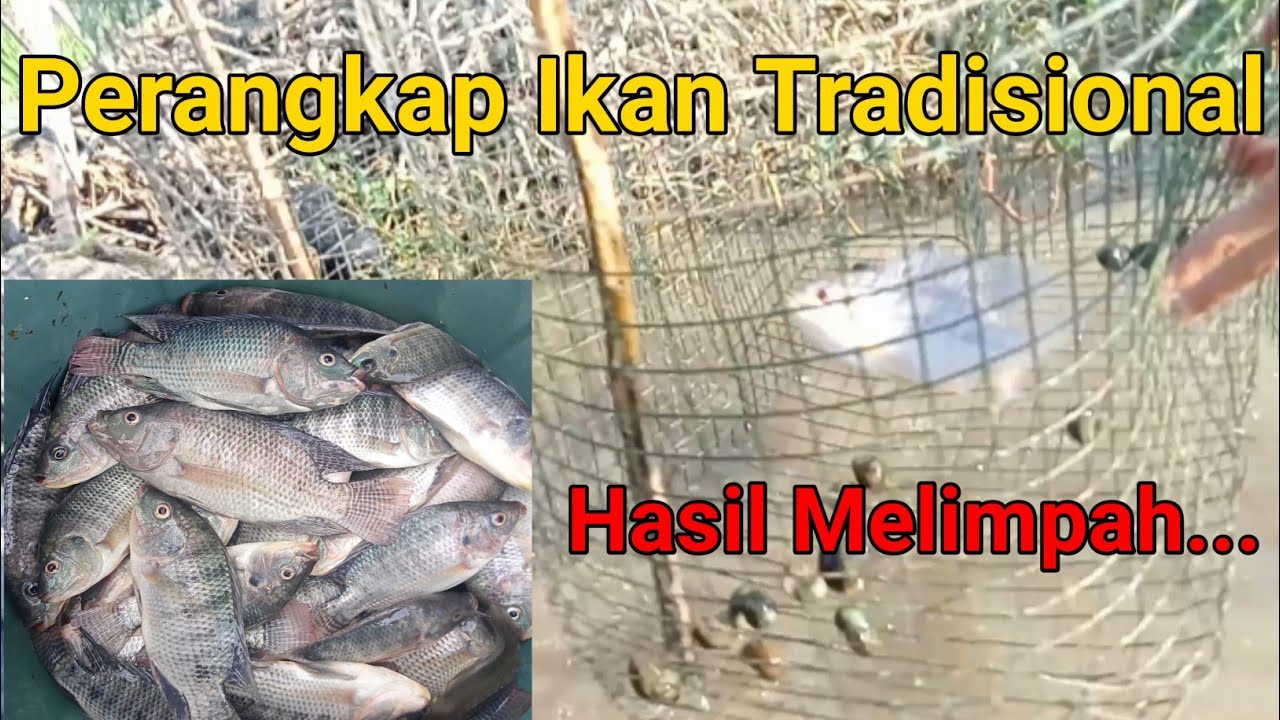 Menangkap ikan dengan alat tradisional - YouTube