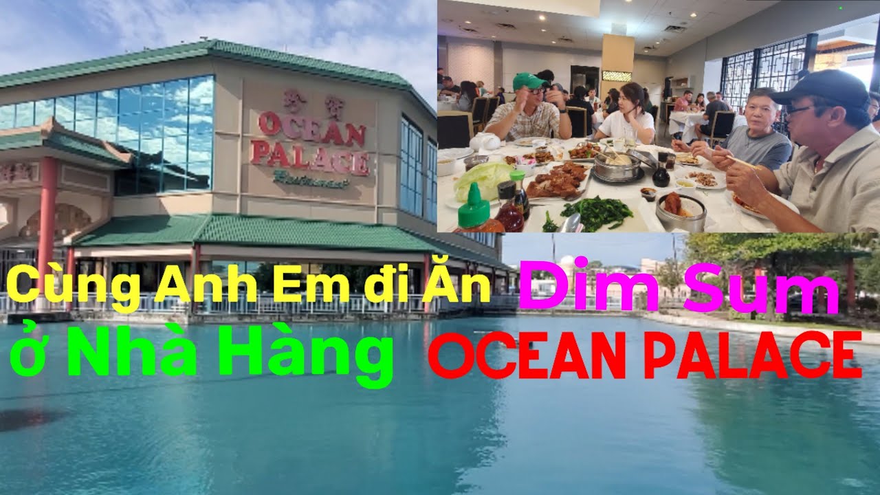 Cùng Anh Em đi Ăn Dim Sum ở Nhà Hàng Ocean Palace... - YouTube