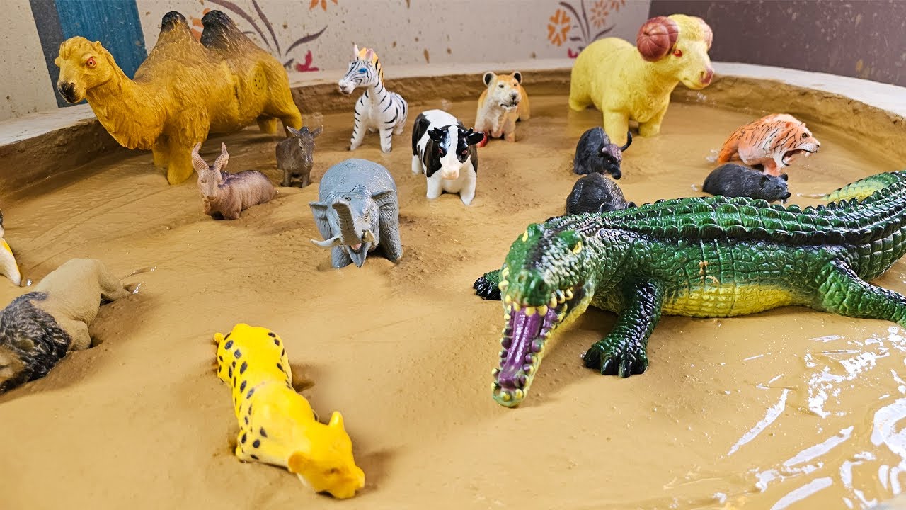 The Ultimate Animal Expedition: Zoo, Farm, and Wild Creatures on a ...