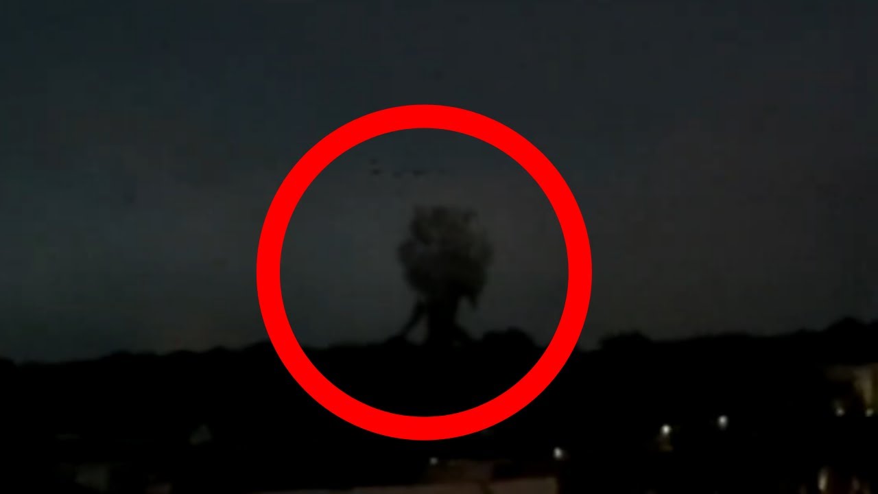 Real Gigantic Tree Like Monster Spotted in Barbados 2021 - YouTube