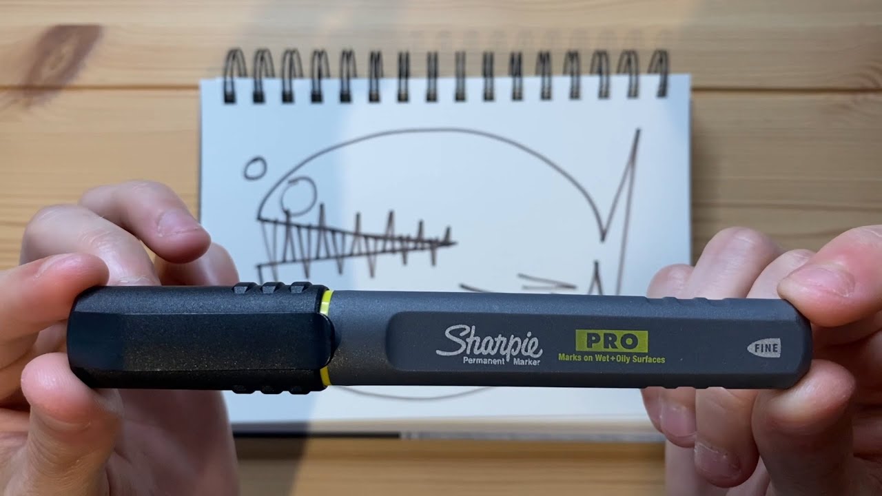 Drawing with a Sharpie Pro Fine Point Permanent Marker - Review - YouTube