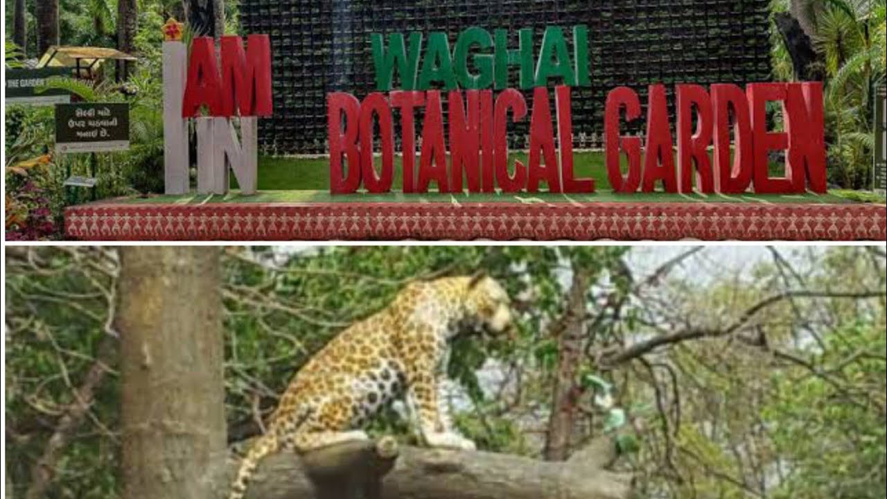 Vansda National Park & Botanical Garden tour #ankitparekh #zoo #animals ...