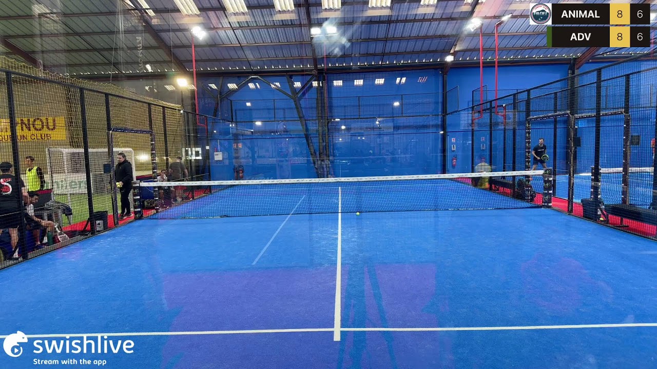 Live propulsé par l'application Swish Live ANIMAL VS ADV - YouTube