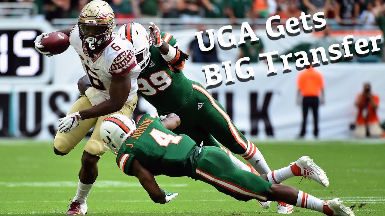 BREAKING: UGA Gets Transfer from FSU TE Tre McKitty - YouTube