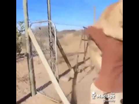 Mambo ya kubebwa .
