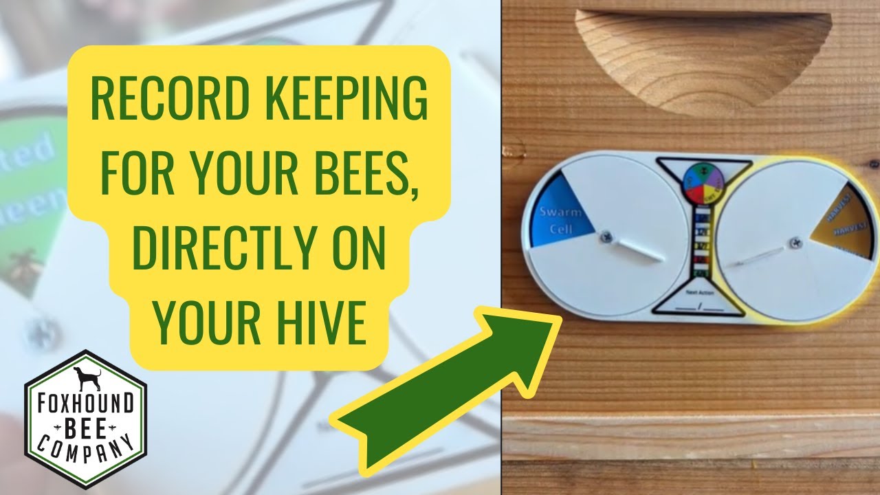 Beekeeping Record Keeping With the Queen Right Dial - YouTube