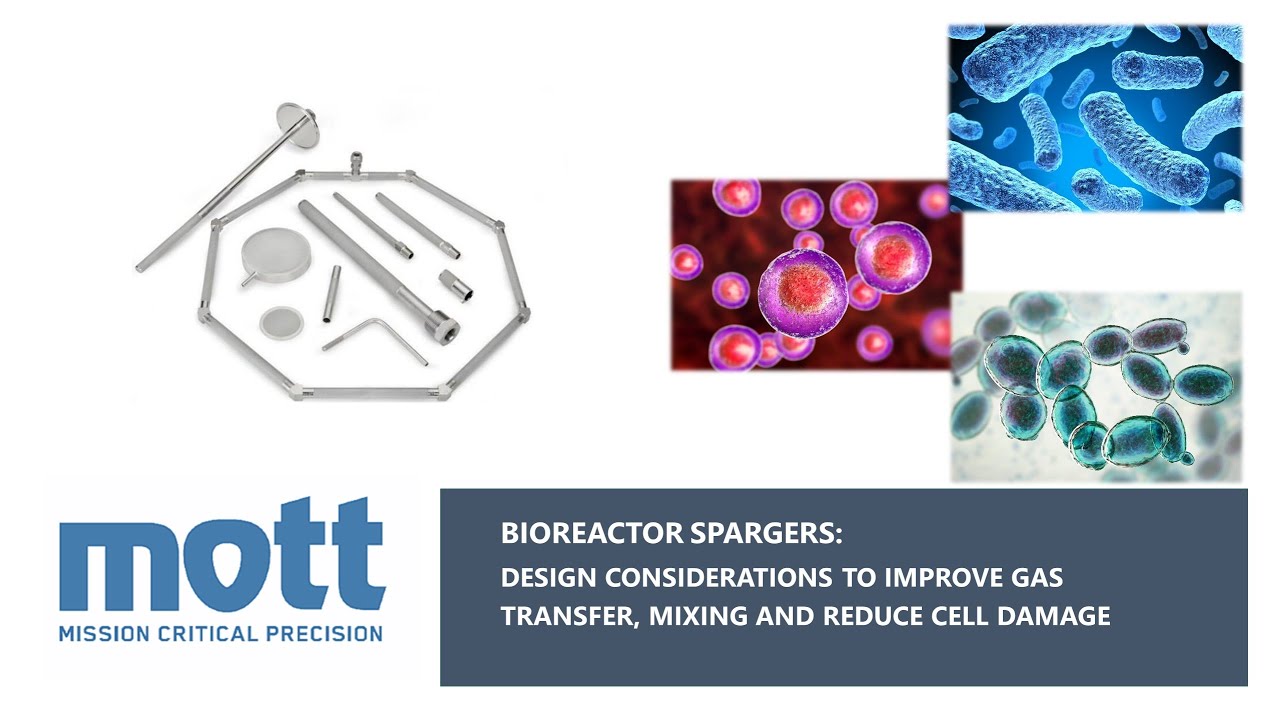 Bioprocessing Spargers - YouTube