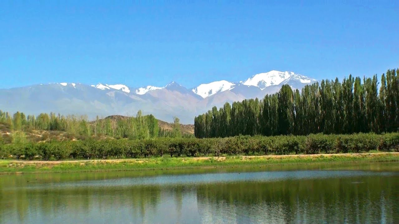 MENDOZA - Argentina, turismo bodegas y viñedos. Ruta del vino en ...