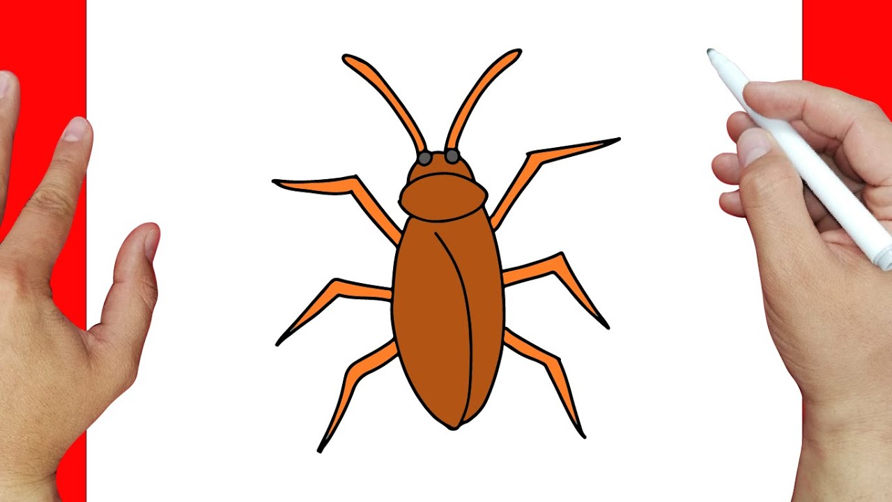 Cómo dibujar una Cucaracha paso a paso | Dibujos fáciles - YouTube