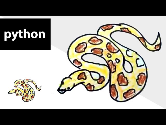 How To Draw Burmese Python