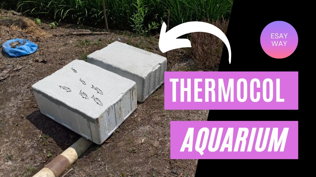 How to make aquarium using thermocol box 💯👏 very easy method 🤩 - YouTube