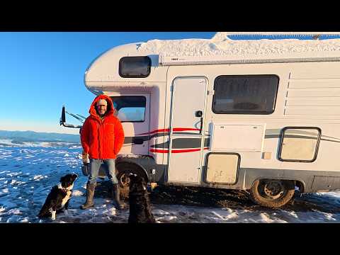 STUCK! Snow Storm Van Camping With 2 Puppies