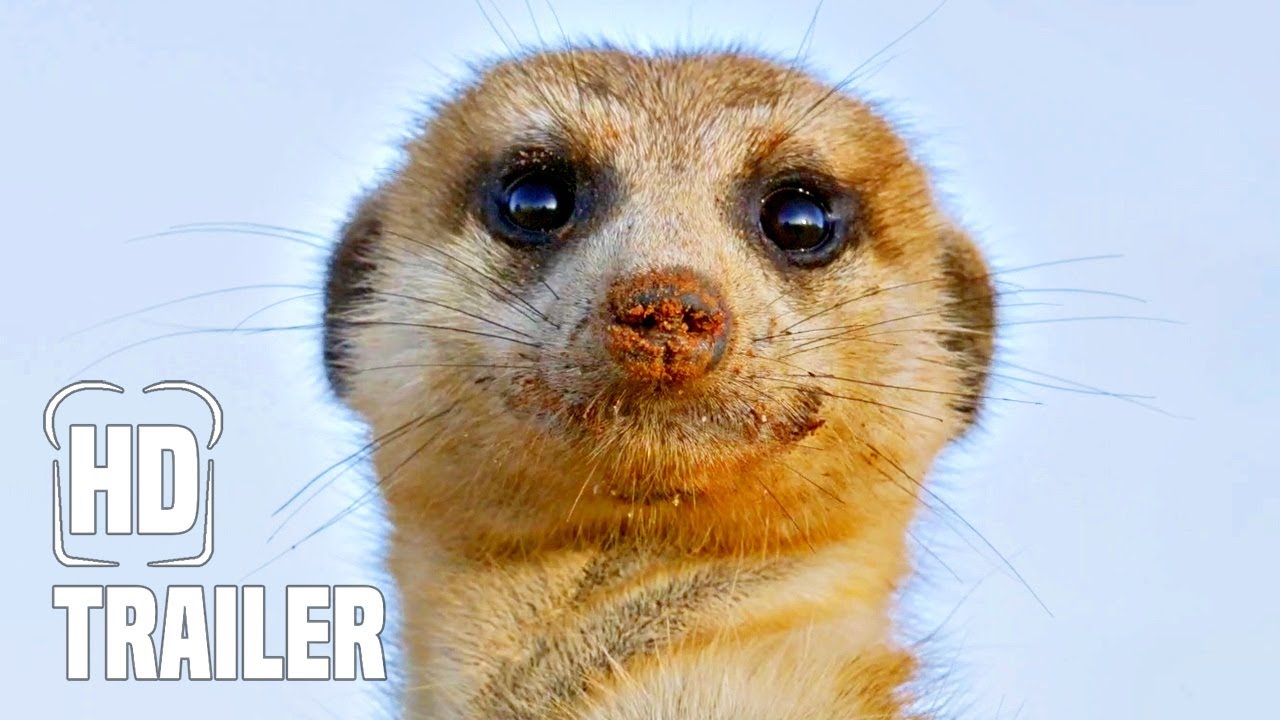 PAMBARA Trailer German Deutsch (2023) @FilmtoastDE - YouTube