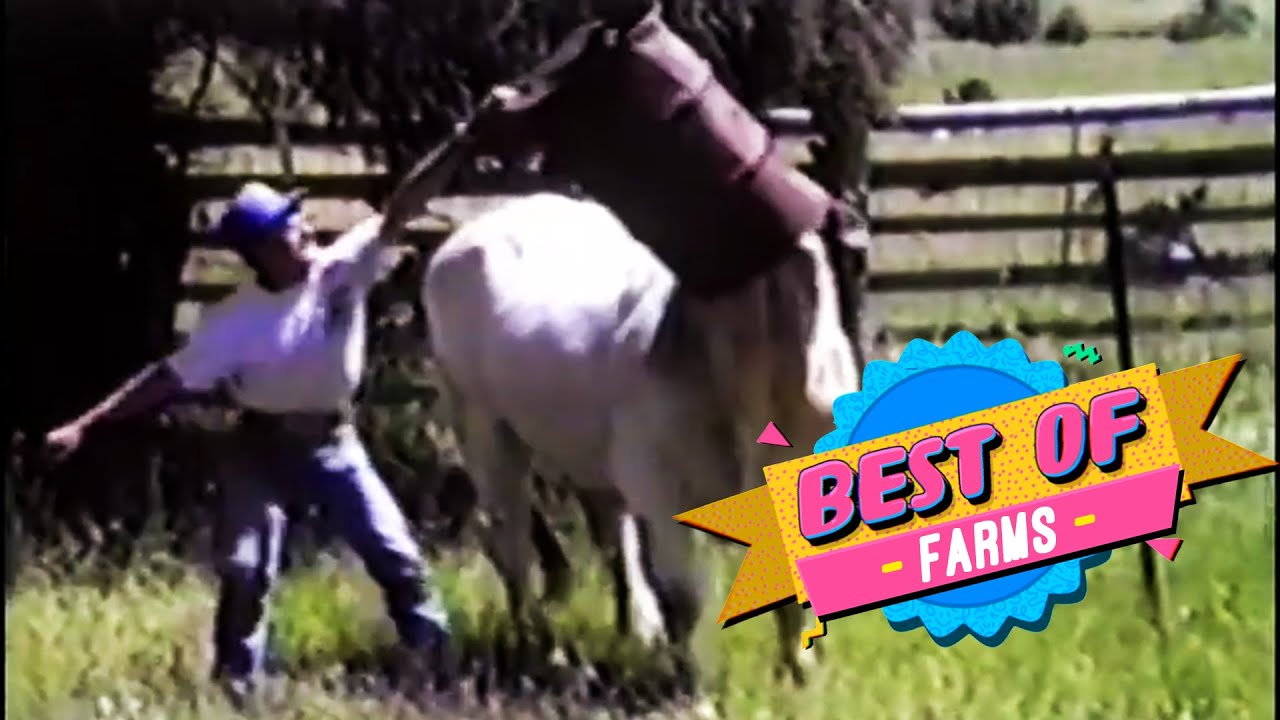 Best of AFV! | Part 50!!! | AFV Classics - YouTube