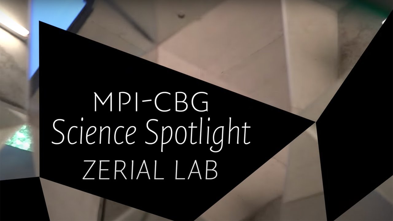 MPI-CBG Science Spotlight: Zerial Lab - YouTube