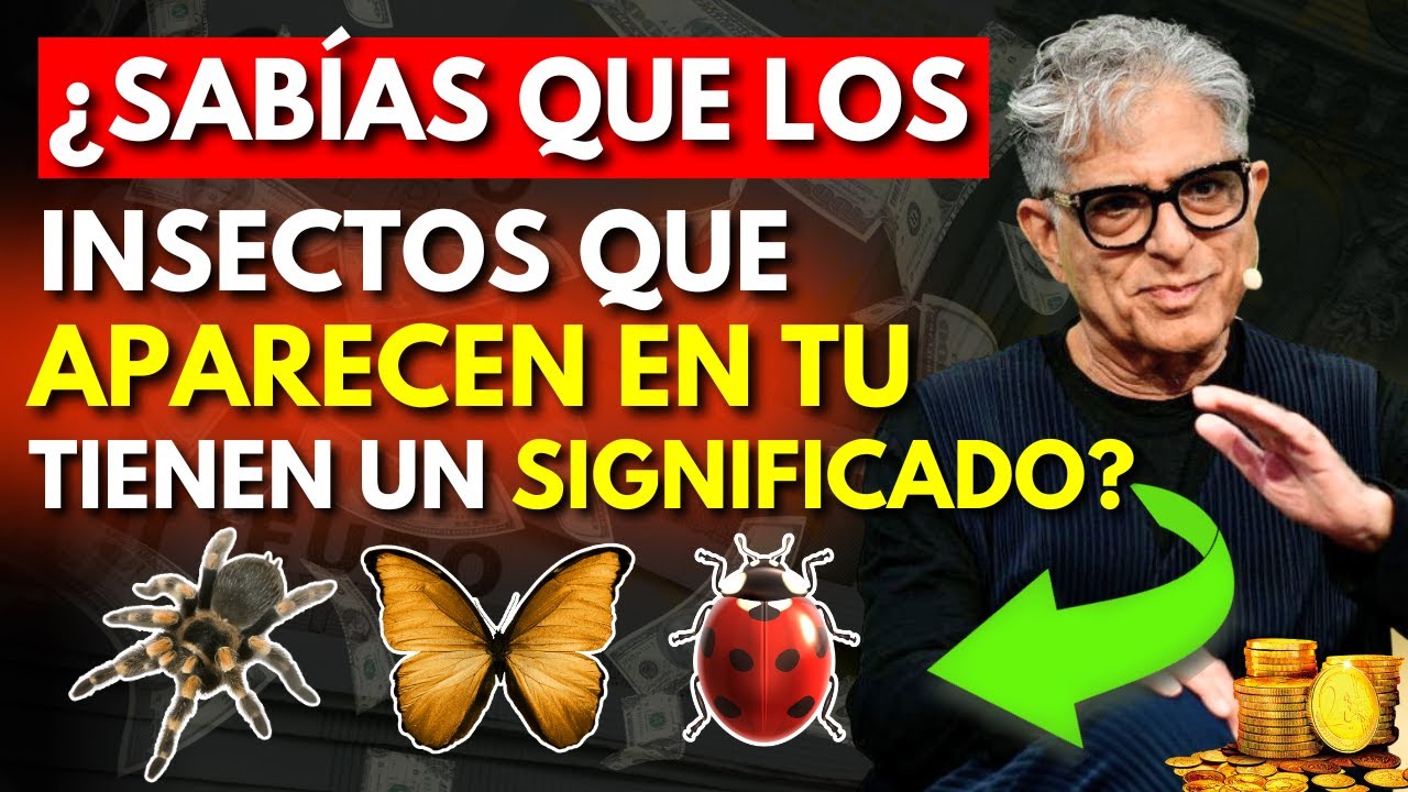 ¿Sabías que los insectos que aparecen en tu hogar tienen un significado ...