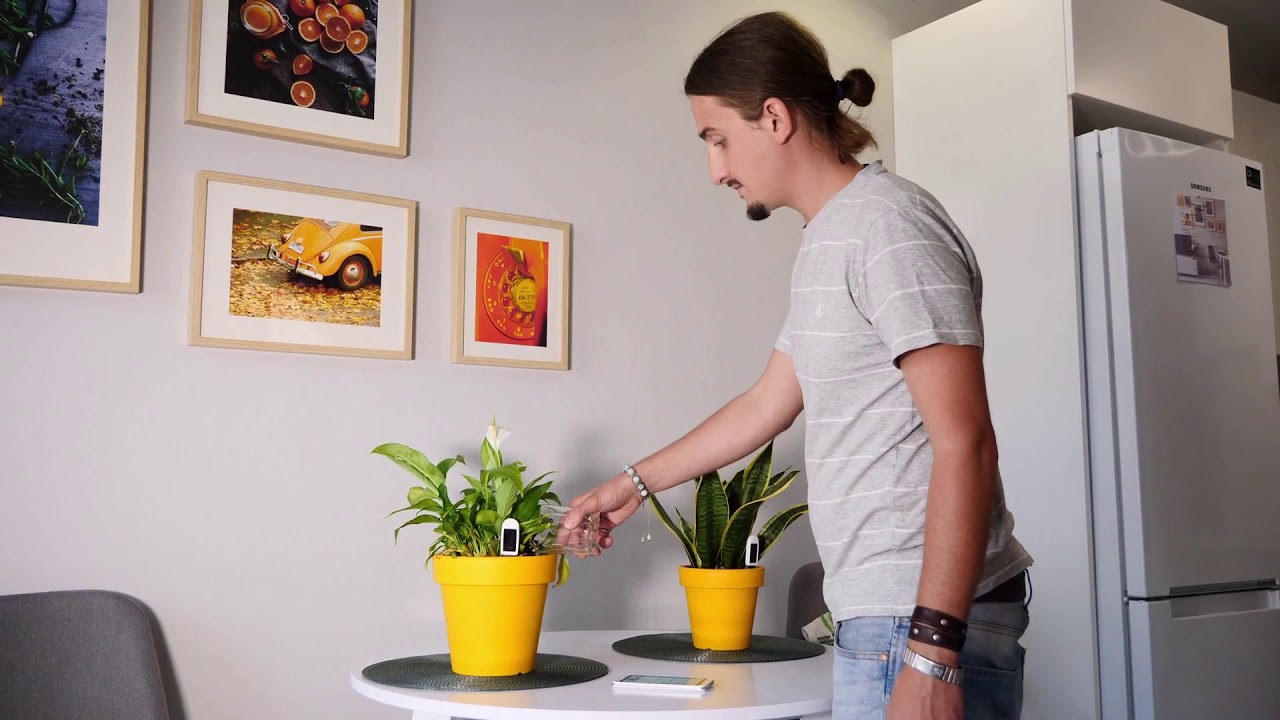 greensens smart Plant sensors - YouTube
