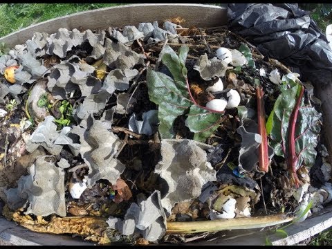 How to Make a Homemade Organic Compost - YouTube