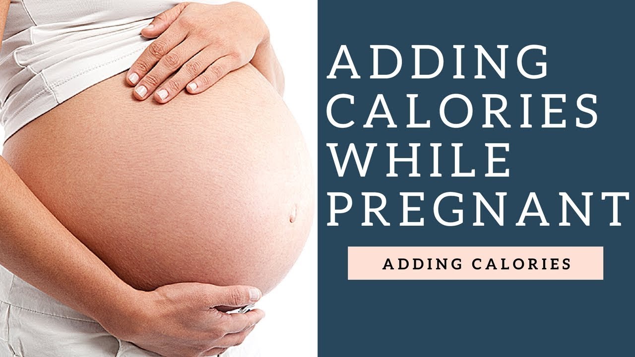 Pregnancy Calorie Tracker Nipodcomplete pregnancy-calorie-tracker-nipodcomplete