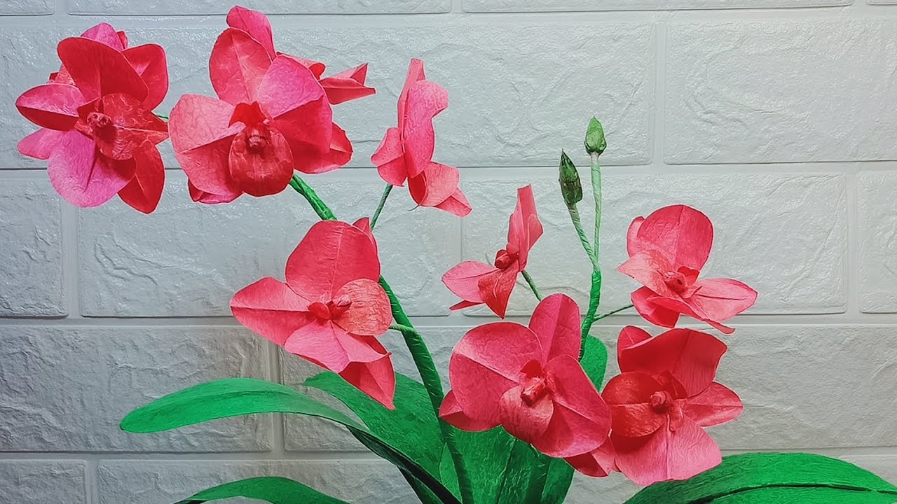 Cara Membuat Bunga Anggrek dari plastik, DIY Anggrek Bulan dari plastik ...