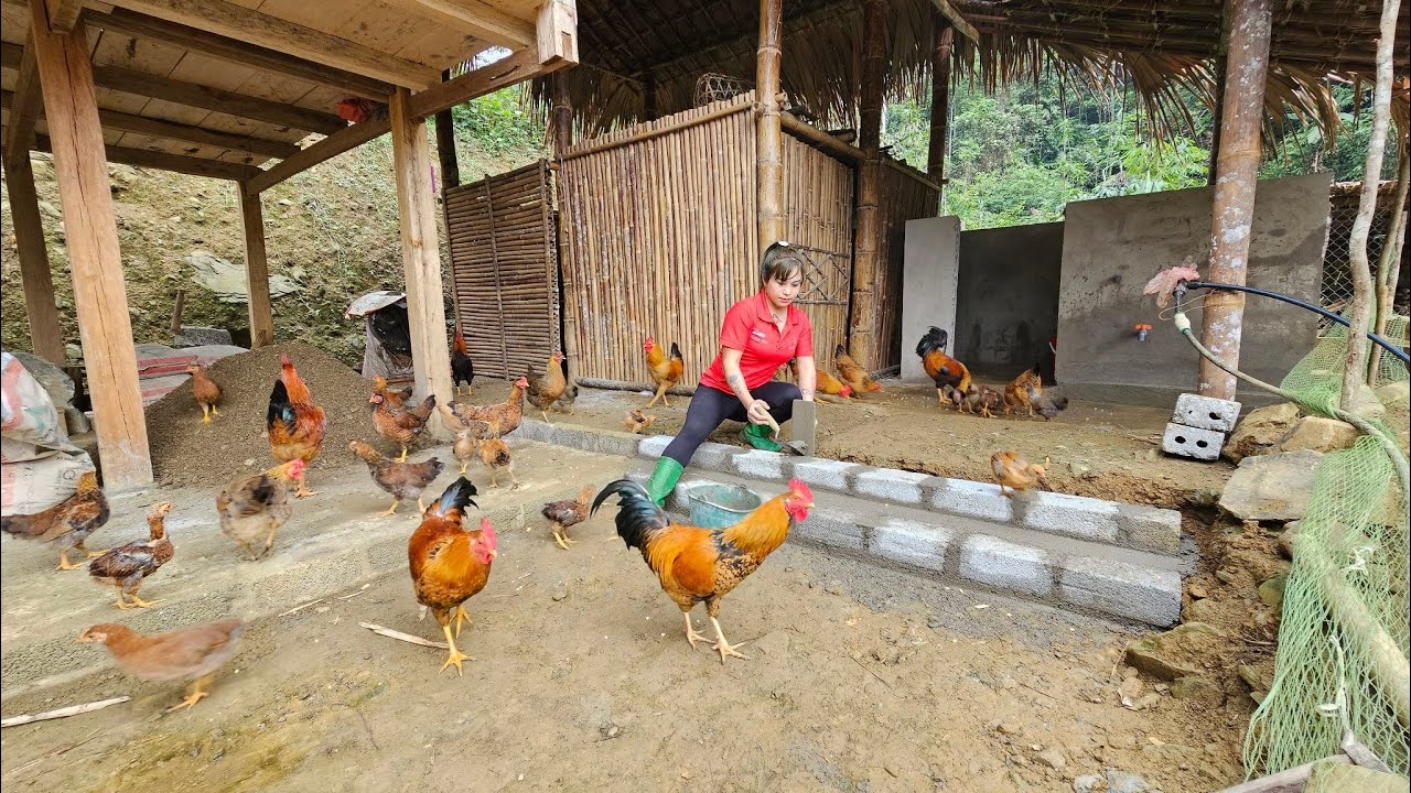 Sand shoveling and transporting - House construction techniques - Farm ...