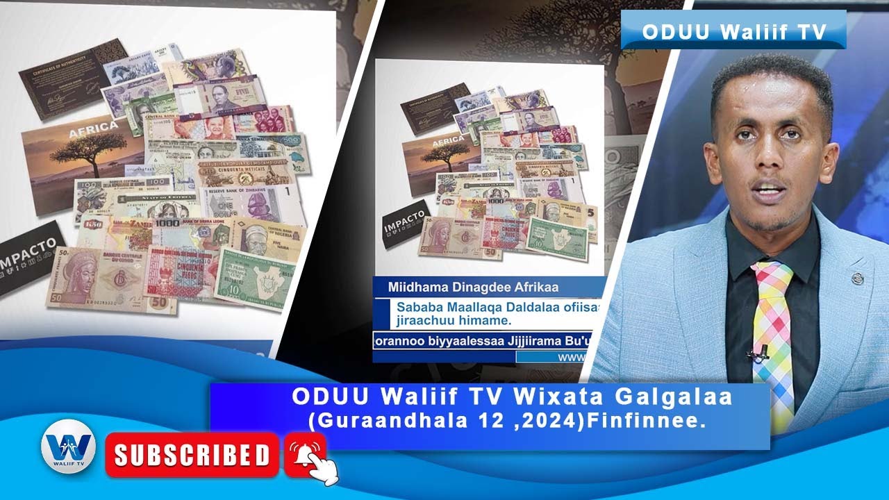 Miidhama Dinagdee Afrikaa ODUU Waliif TV Wixata Galgalaa (Guraandhala 12 ,2024)Finfinnee - YouTube