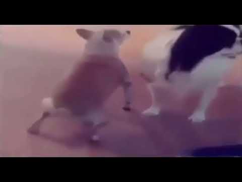 Tu abuela en tanga