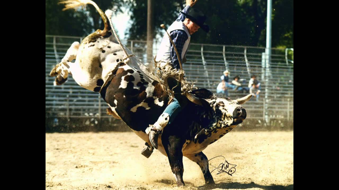 Rodeo punk n roll - YouTube