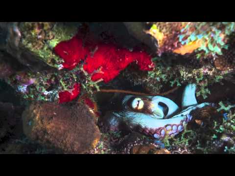 Danny Wilding Underwater Slideshow - YouTube