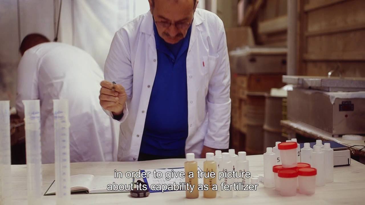 Science of Polysulphate: a unique multi-nutrient fertilizer - YouTube