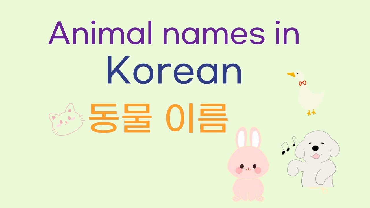 Animal names in Korean / Korean Vocabulary - YouTube