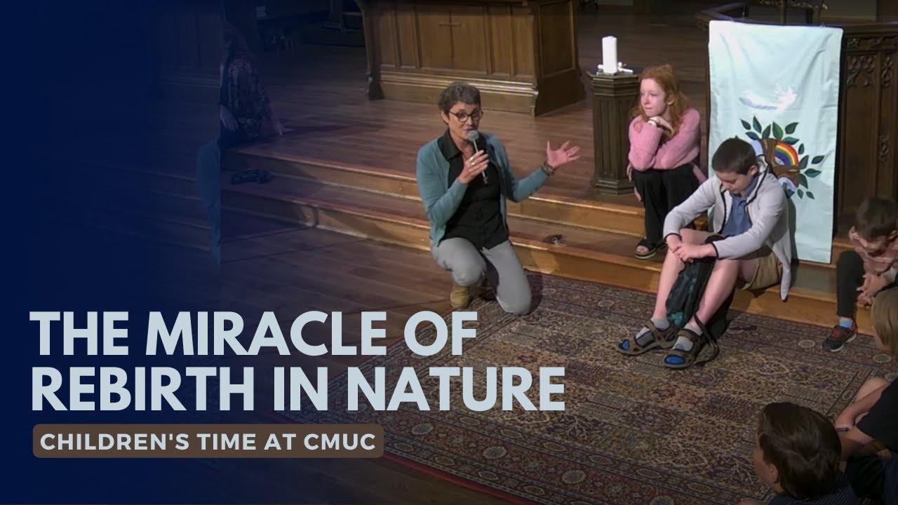 The Miracle of Rebirth in Nature | Children's Time by Tama Ward ...