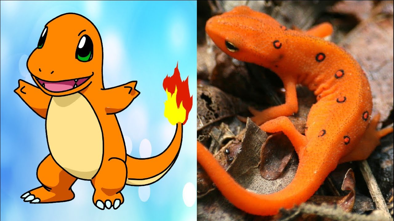 Pokemon Shedinja In Real Life